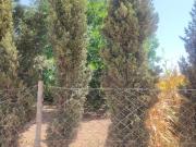 Terrain Agricole El Jadida - 13 terrains à vendre à El Jadida par Nuroa.ma